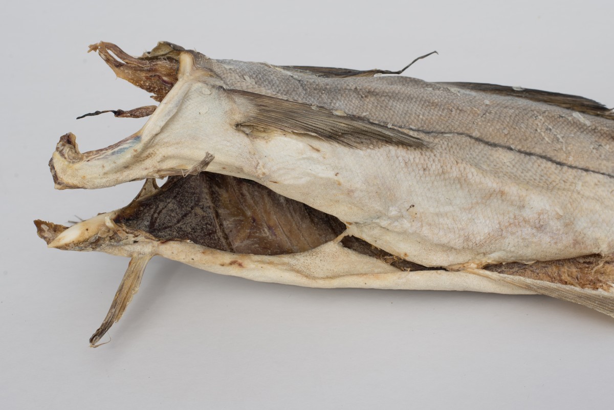 Haddock | Lofoten Viking